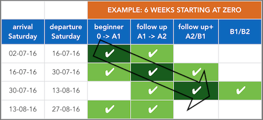 course-levels - BLC Dutch Summer School